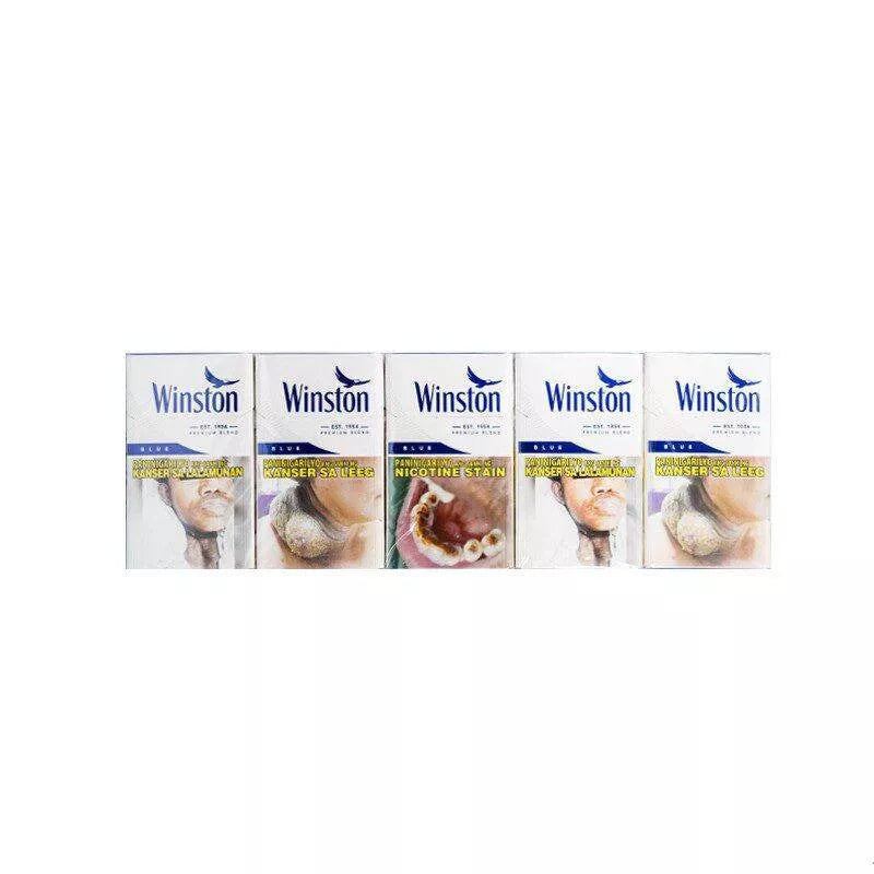 WINSTON LIGHTS FLIP TOP BOX – Nesabel Online – Branch