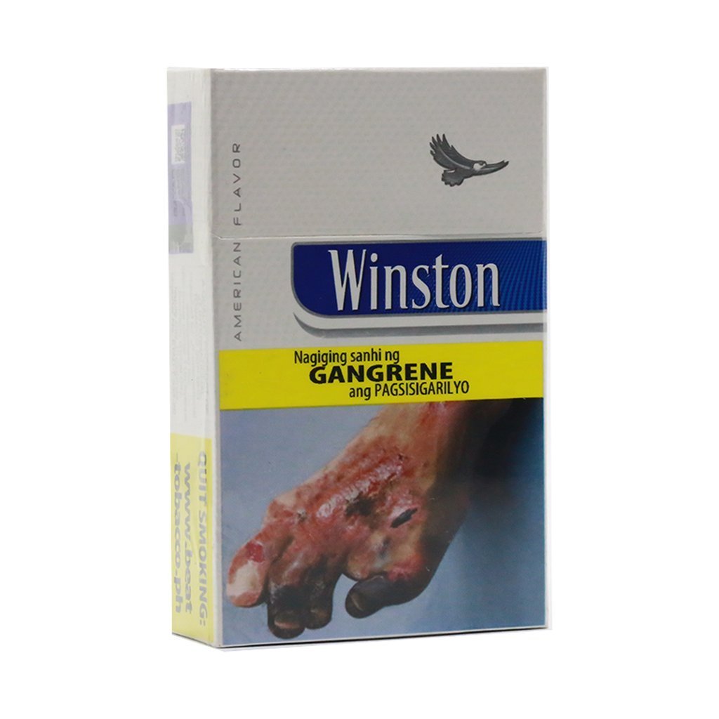 WINSTON LIGHTS FLIP TOP BOX (20S) – Nesabel Online – Branch